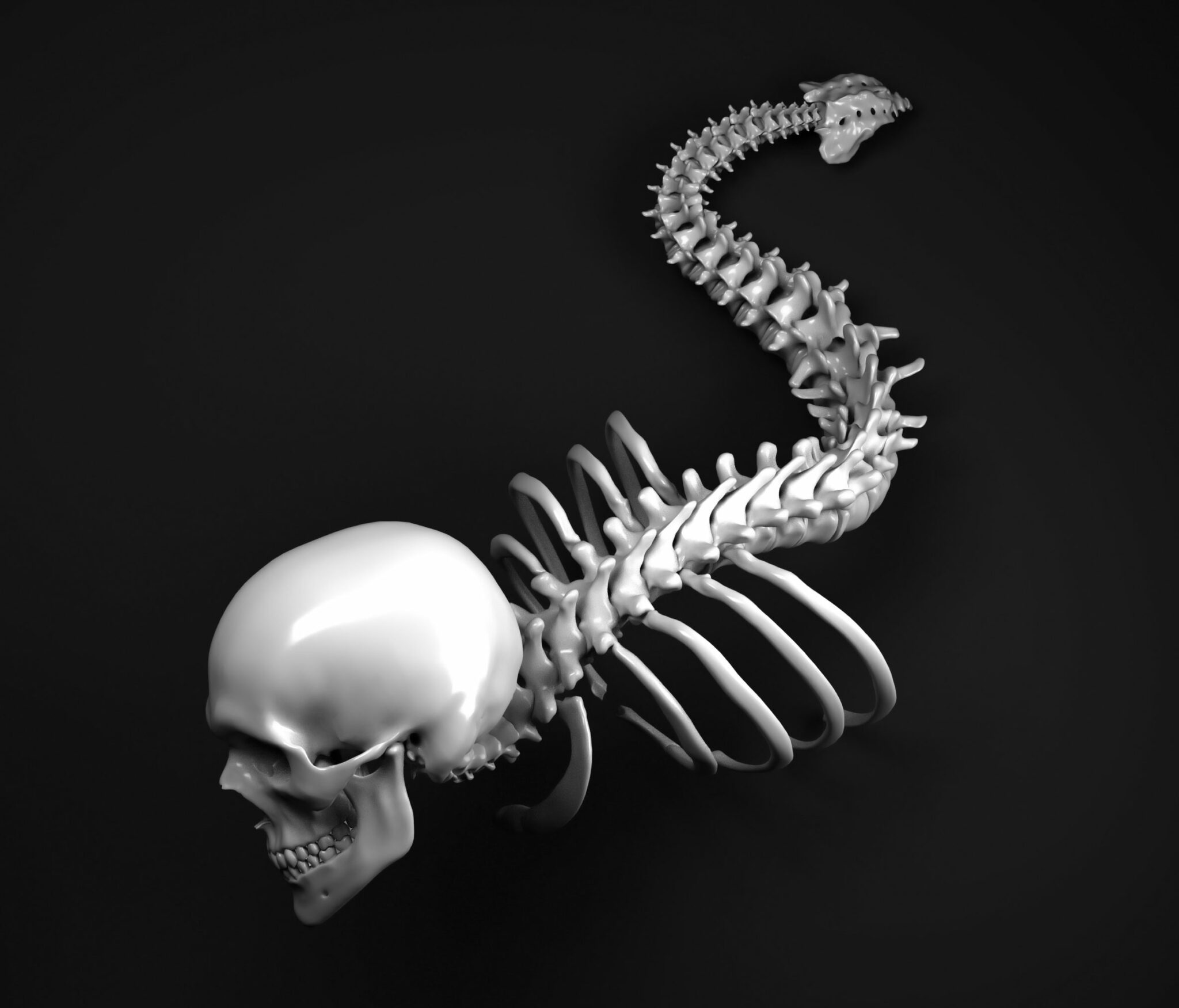 Rufass: The Skeleton Character that Spreads Spine Education