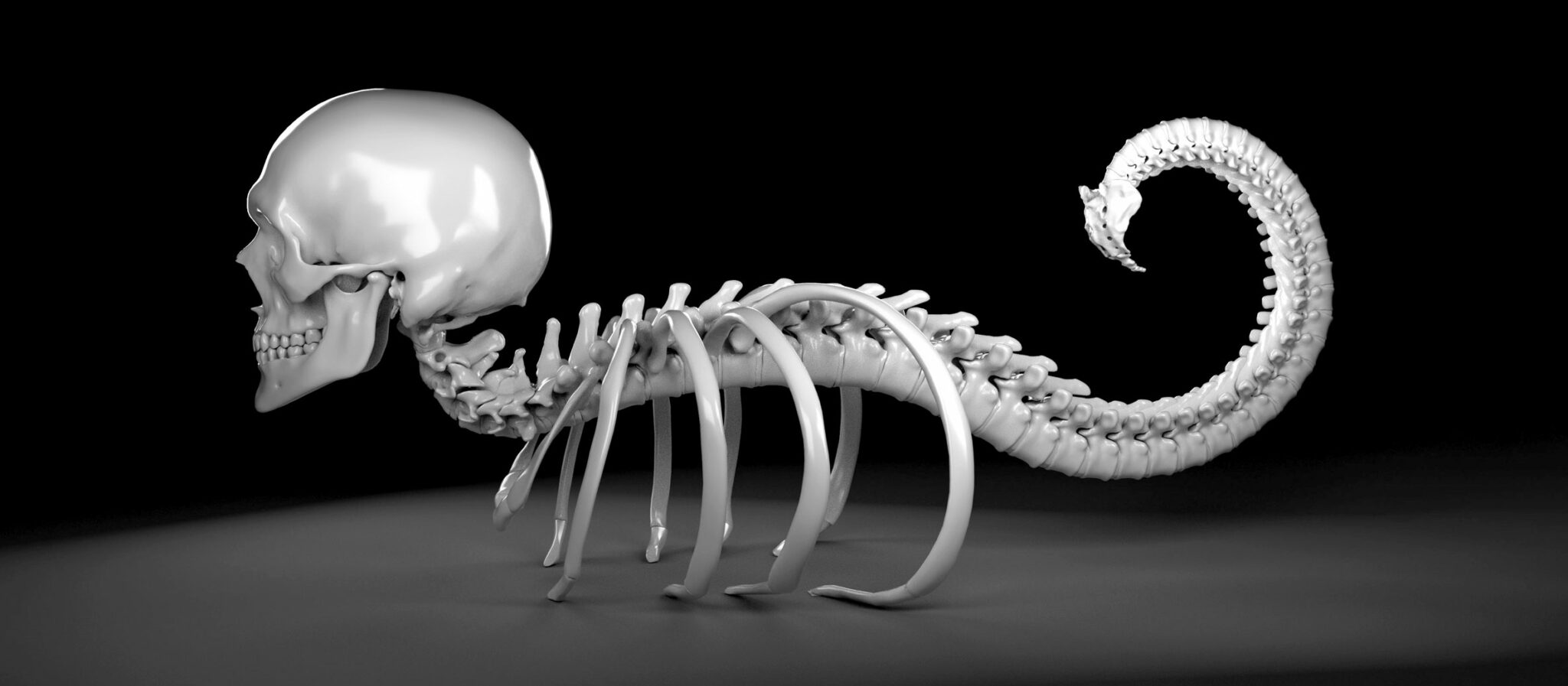 Rufass: The Skeleton Character that Spreads Spine Education